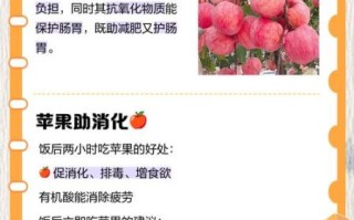 什么时候吃苹果最好_苹果减肥的正确时间