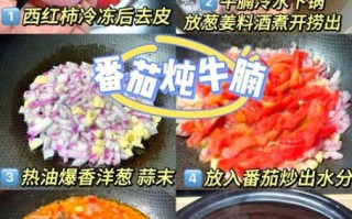 西红柿牛腩怎么做好吃_西红柿牛腩炖多久才软烂