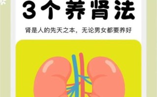 最简单的补肾方法_肾虚怎么补最快