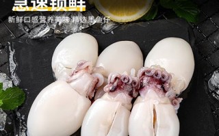 墨鱼怎么处理干净_墨鱼清洗内脏视频教程