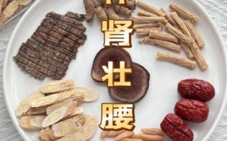 补肾汤的做法与功效_肾虚喝什么汤最好