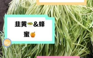 韭黄和什么一起炒好吃_韭黄不能和什么一起吃