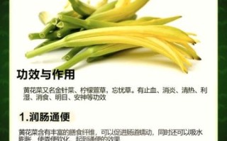 新鲜黄花菜怎么吃最好_新鲜黄花菜怎么焯水去毒
