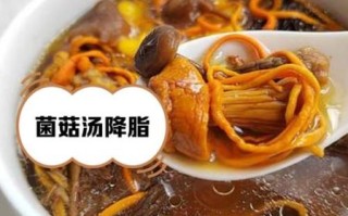 菌菇汤的功效与作用及禁忌_什么人不能喝菌菇汤
