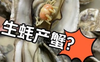 生蚝不撬开能直接蒸吗_蒸多久才熟