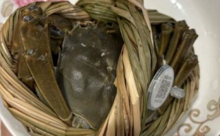 太湖大闸蟹什么时候上市_上市时间