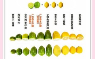 黄柠檬和青柠檬的功效区别_哪个更适合减肥