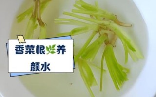 香菜根煮水洗脸有什么好处_怎么用效果最好