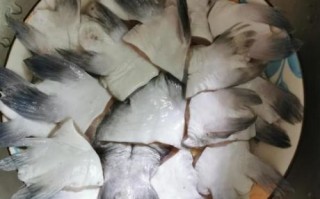 鮰鱼翅怎么做好吃_鮰鱼翅的做法大全