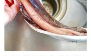 带鱼内脏怎么处理_带鱼怎么清洗才干净