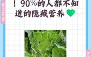 莴笋叶子能吃吗_莴笋叶子危害有哪些