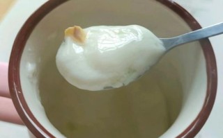 用姜粉做姜撞奶会凝固吗_姜粉姜撞奶比例是多少