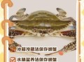 螃蟹怎么长期保存_活螃蟹能放冰箱多久