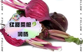 红甜菜根的功效与作用_红甜菜根怎么吃最营养