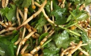 鱼腥草怎么凉拌好吃_鱼腥草的做法大全