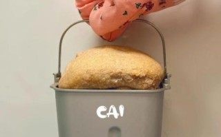 松下面包机做面包视频教程_松下面包机做面包失败原因