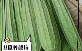 丝瓜的药用功效有哪些_丝瓜能治疗哪些疾病