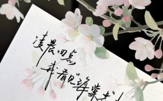 海棠花未眠_为什么海棠花晚上不闭合