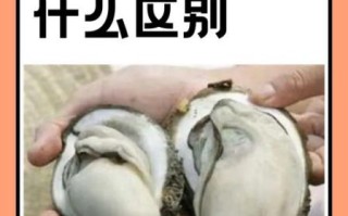 蚝怎么读_生蚝和牡蛎的区别