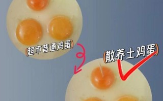 土鸡蛋和普通鸡蛋的区别_土鸡蛋怎么挑选