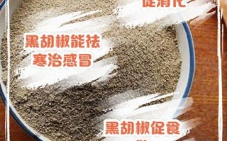 黑胡椒粉的功效与作用_黑胡椒粉怎么吃效果最好