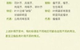 春芥菜的功效与作用_春芥菜怎么吃最好