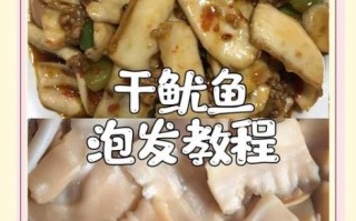 干鱿鱼怎么泡发_干鱿鱼怎么发最快