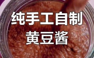 黄豆酱怎么做好吃_家庭自制黄豆酱秘诀 黄豆酱怎么做好吃_家庭自制黄豆酱秘诀
