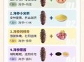 海参怎么做好吃又有营养_海参最营养的吃法