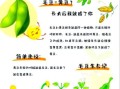 毛豆怎么变成黄豆_毛豆和黄豆的区别