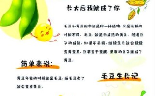 毛豆怎么变成黄豆_毛豆和黄豆的区别