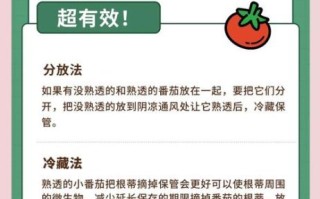 西红柿怎么长期保存_西红柿长期储存方法