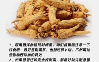 西洋参的功效与作用_适合哪些人吃