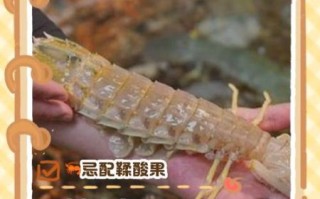 吃完虾千万别碰5种食物_会中毒吗