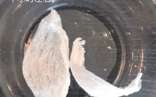 燕窝怎么煮好吃_燕窝的正确炖法步骤