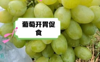 葡萄的功效与作用及副作用_吃葡萄会上火吗