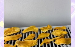 菠萝蜜干怎么做_家庭烤箱版详细步骤