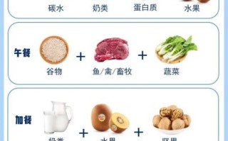食物营养与合理搭配_如何科学配餐