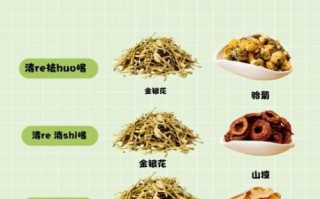 金银花和什么搭配喝好_金银花最佳搭配