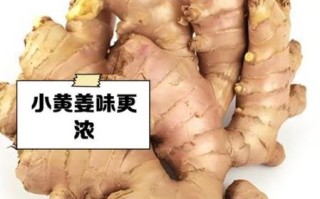 黄姜和生姜的区别_哪个更适合做菜
