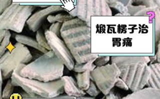 瓦楞子的功效与作用_瓦楞子主要治什么病