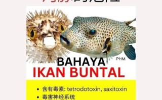 河豚毒素是什么_河豚毒素中毒怎么办