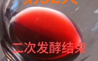 自制葡萄酒的做法大全_葡萄酒发酵多久可以喝