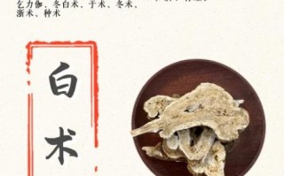 白术的功效与作用_白术主治哪些病
