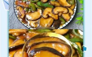 蚝油焖香菇怎么做_蚝油焖香菇用干香菇还是鲜香菇