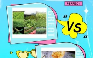 糖桂花和桂花酱的区别_哪个更适合做甜品