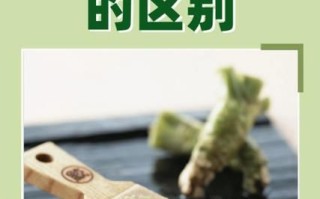 芥末是什么植物做的_芥末原料和辣根区别