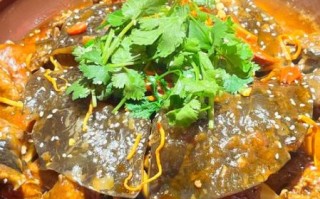 甲鱼怎么炖好吃又营养_家常甲鱼汤做法