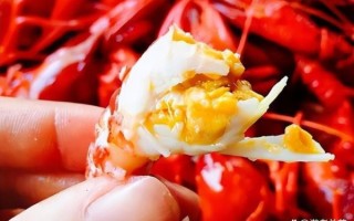 小龙虾原产地是哪里_小龙虾什么时候传入中国