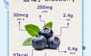 蓝莓的功效与作用及禁忌_蓝莓一天吃多少合适